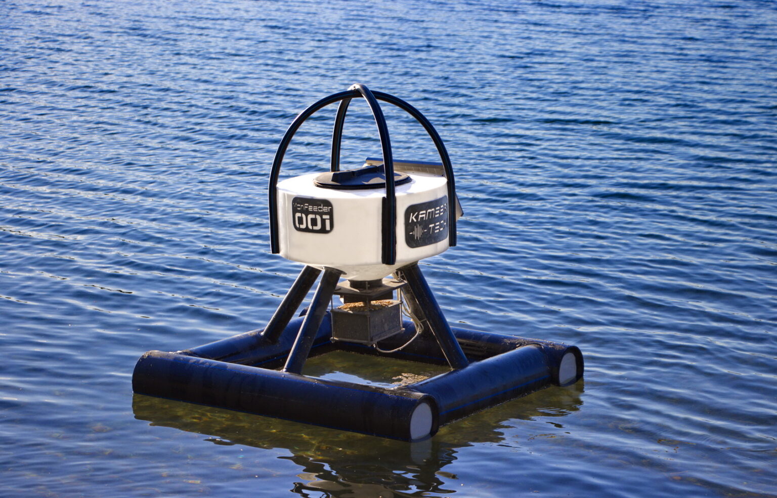MariFeeder - Automatic Fish Feeder for Aquaculture