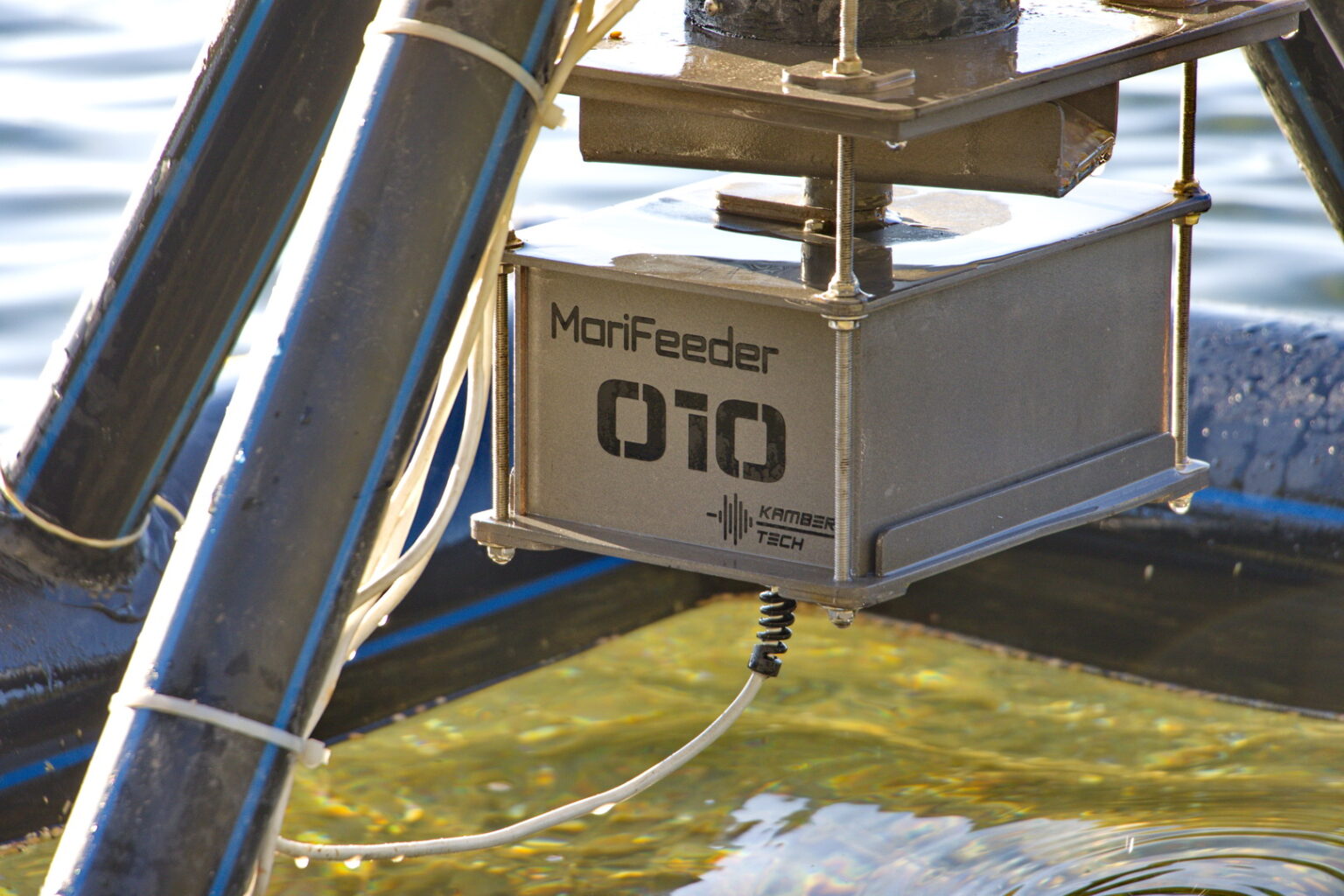 MariFeeder - Automatic Fish Feeder for Aquaculture